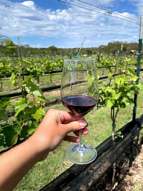 Photo Gallery Seventh Son Vineyards