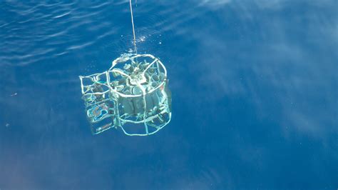 Ocean Engineering Interesting Pictures