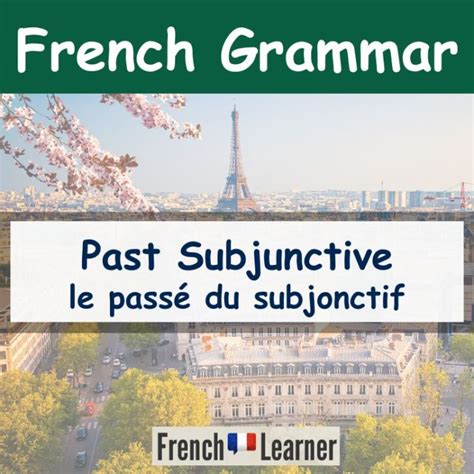 French Past Subjunctive Frenchlearner Grammar