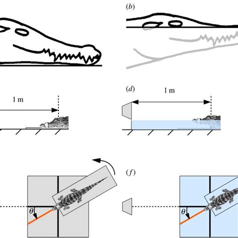 Experimental Set Up Used To Measure Hrtf Localization Cues Two Natural