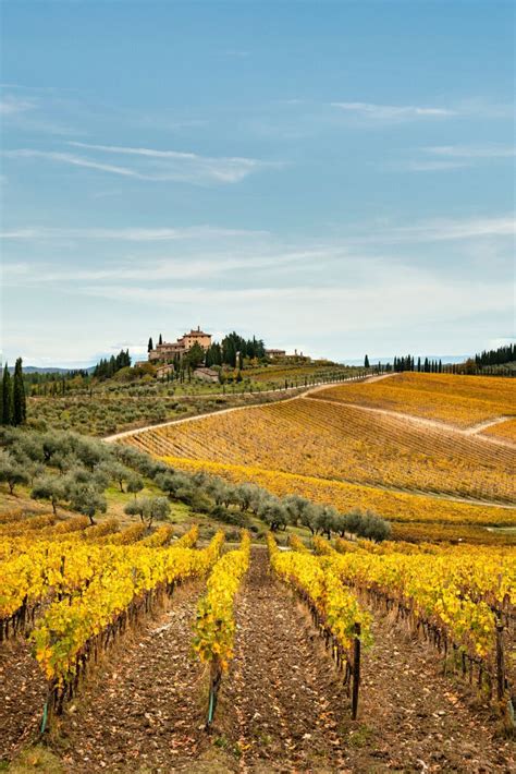 Italy In September Weather Reasons To Visit And Things To Do Insight