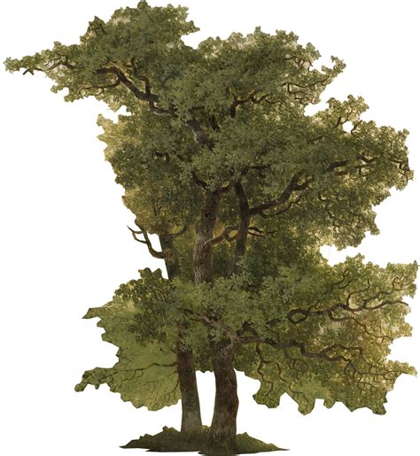 Pin By 霸道总裁 On 绿植 Architecture Collage Landscape Architecture