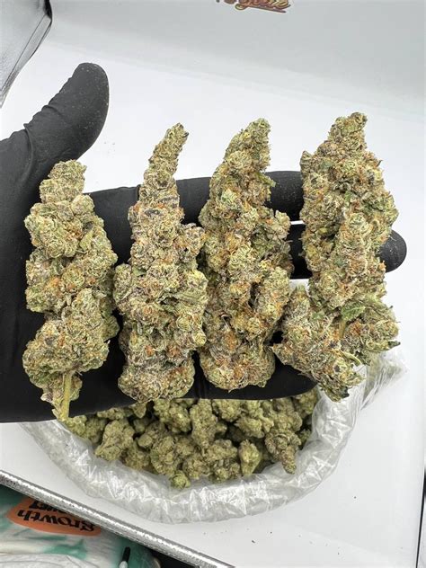 White Widow Strain