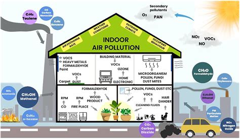 What Is The Role Of Trees In Controlling Air Pollution At Malik Keck Blog