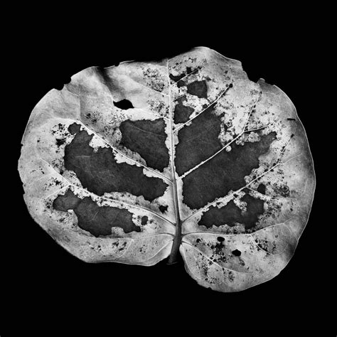Ken Collins Bnw Minimalism Magazine