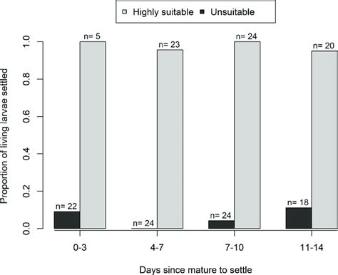 Proportion Of Pediveliger Larvae Able To Settle With Increasing Time