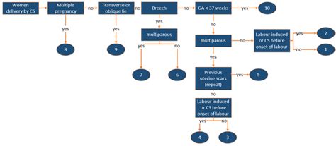Flow Chart Robson Classification According To Who 16 Download