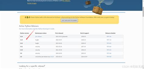 Python的flask框架使用flask运行 C盘 Csdn博客