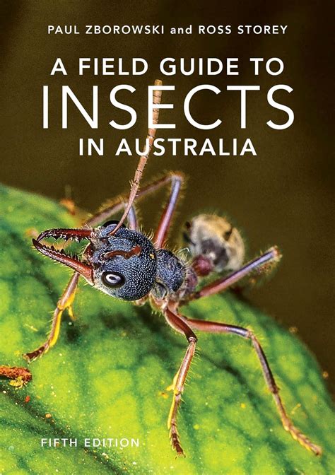 A Field Guide To Insects Of Australia 5 Storey Ross Zborowski