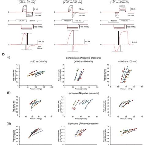 Navid Bavi Postdoctoral Fellow B Sc M Sc Phd University Of Chicago Il Uc
