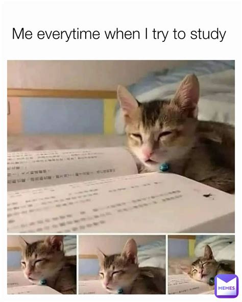 Study Meme