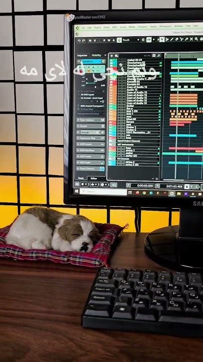 پخش به زودی شعر و آهنگ تنظیم سجاد مردانی Youtube