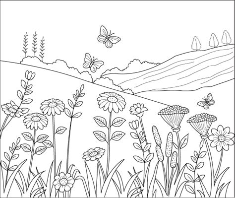 Wildflowers And Meadows Coloring Page