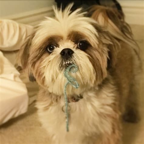 Img 5008 Ira Heinichen