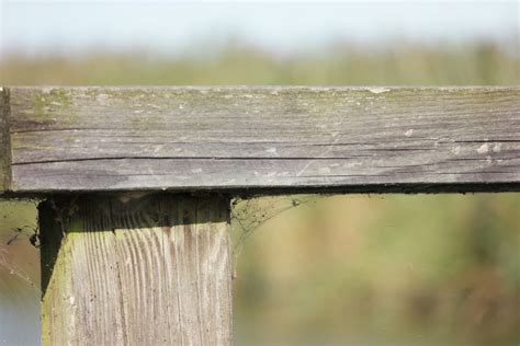 Het Draaide Om 1 Woord