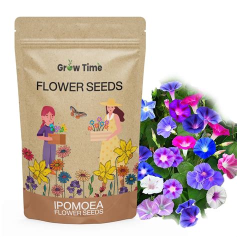 Ipomoea Flowers Seed