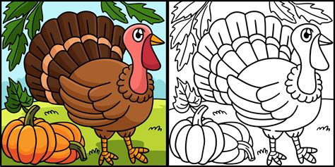 Colored Turkey Pictures
