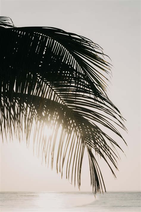 Rande Turner Collective Southern California Real Estate