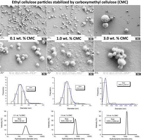 Effect Of Different Surface Active Polysaccharide Derivatives On The Formation Of Ethyl