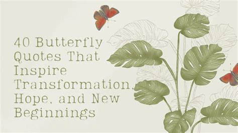 Butterfly Quotes That Inspire Transformation Hope And New Beginnings