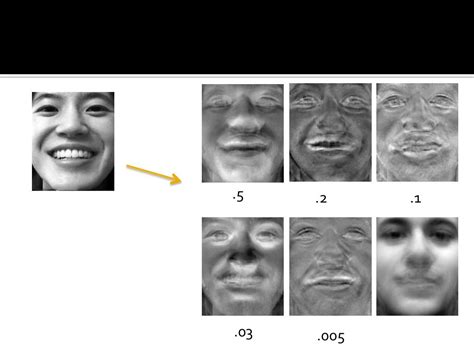 Ppt Principal Components Analysis Powerpoint Presentation Free Download Id5812416