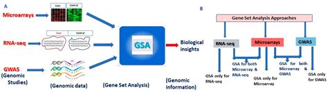 Fifteen Years Of Gene Set Analysis For High Throughput Genomic Data A