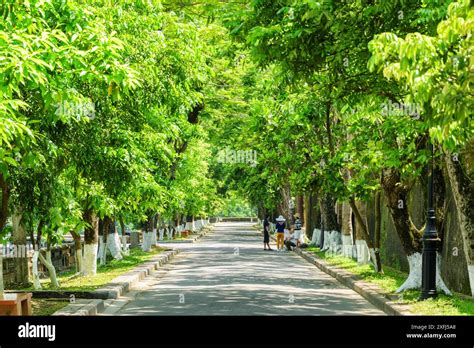 Amazing Green Shady Road On Summer Sunny Day At The Imperial City In