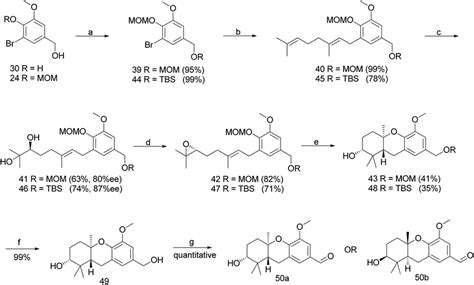 Synthesis Of Hexahydroxanthene Aldehyde 50a Via Sharpless