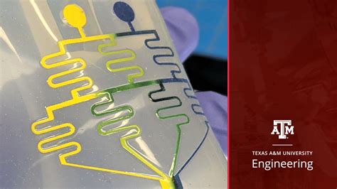 Paper Based Microfluidics Offer Pathway To Rapid And Low Cost