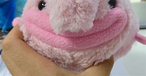 This Absolute Unit Imgur