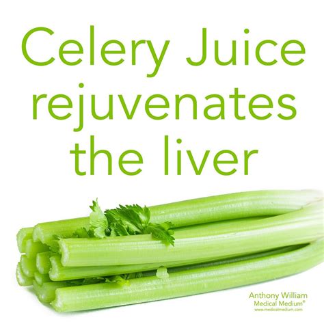 Medical Medium® Celery Juice Rejuvenates The Liver🌟 Learn How To
