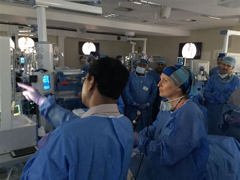 Ent Dissection Courses