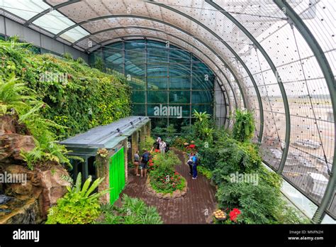 Butterfly Garden Singapore Airport Ozysp