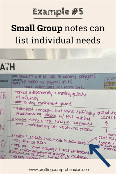 Anecdotal Records Examples