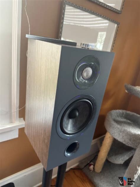 Focal Chora 806 For Sale Canuck Audio Mart