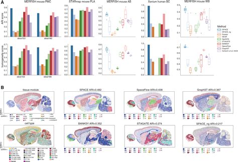 tissue module discovery in single cell resolution spatial
