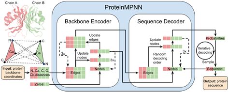Github Kehan777proteinmpnn1 Our In House Version Of Proteinmpnn