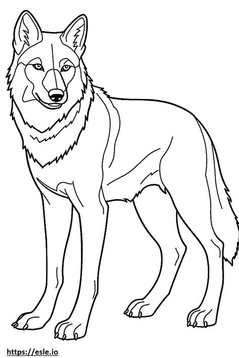 Red Wolf Cute Coloring Page