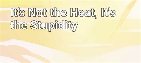 Review Down The Improv Tunnel In Its Not The Heat Its The Stupidity Brave New Workshop