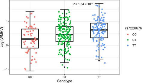 Genome Wide Association Study Of White Matter Hyperintensity Volume In