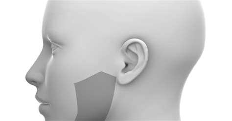 Masseter Muscle Hypertrophy Online Course