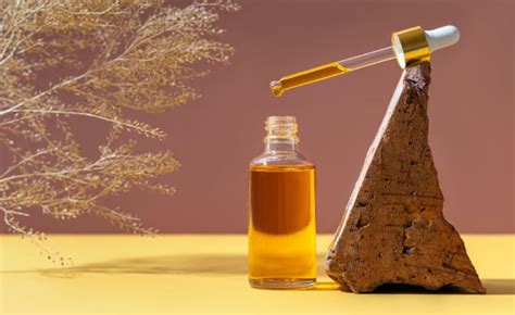 Manfaat Argan Oil Untuk Perawatan Kulit Dan Rambut