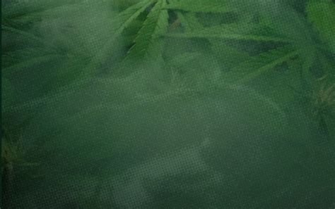 Nj Dispensary Menu The Leaf Joint