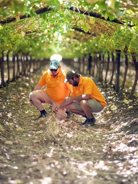 Vacatures Origin Fruit Group