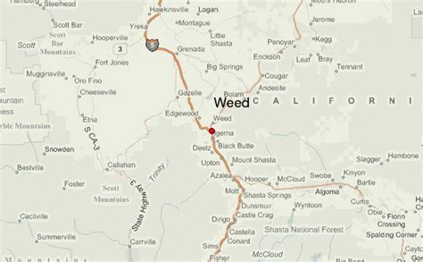 Weed Weather Forecast