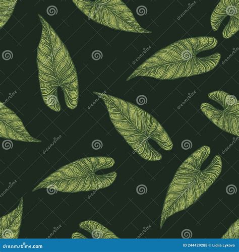Engraving Leaf Araceae Seamless Pattern Vintage Leaves Background