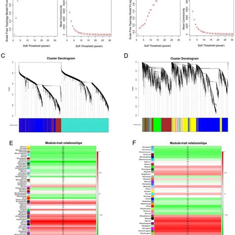 Weighted Gene Co Expression Network Analysis Of Genes In Endometriosis