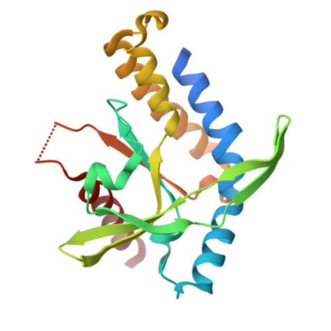 Rcsb Pdb 7zku Crystal Structure Of Human Sting In Complex With 33