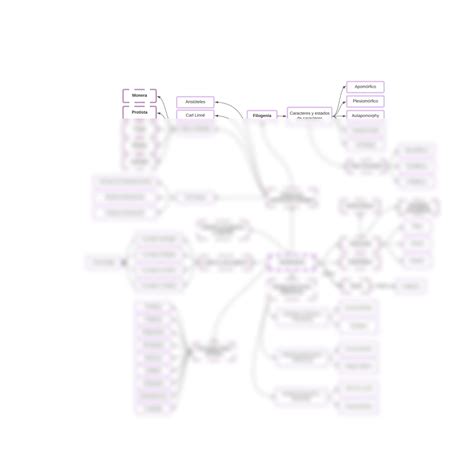 Portal De Los Mapas Conceptuales Mapa Conceptual Clasificaci N De Los My Xxx Hot Girl