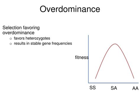 Ppt Evolution Powerpoint Presentation Free Download Id4741660